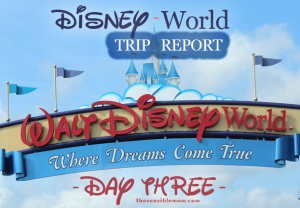 Disney World Trip Report and Tips for Your Next Disney Vacation: Day 3 ...