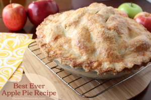 Best Ever Apple Pie Recipe (and recipe for a double pie crust)